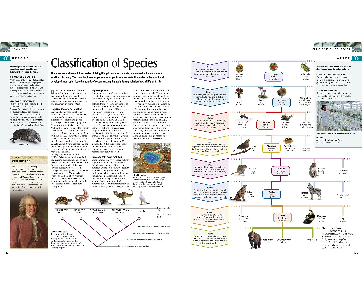 DK Science: The Definitive Visual Guide ,NA - Bargain Book Hut Online
